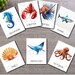 Ocean Animals Flash Cards,set of 20,toddlers & Pre-school Cards ...