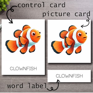Ocean Animals Flash Cards,set of 20,toddlers & Pre-school Cards ...