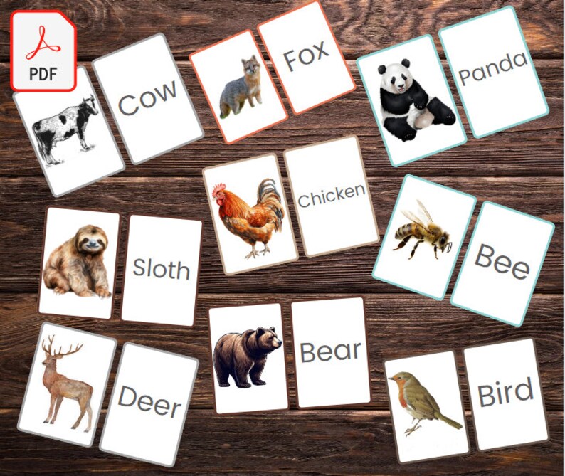 ANIMALS 20 Editable Montessori Cards Flash Cards Nomenclature ...