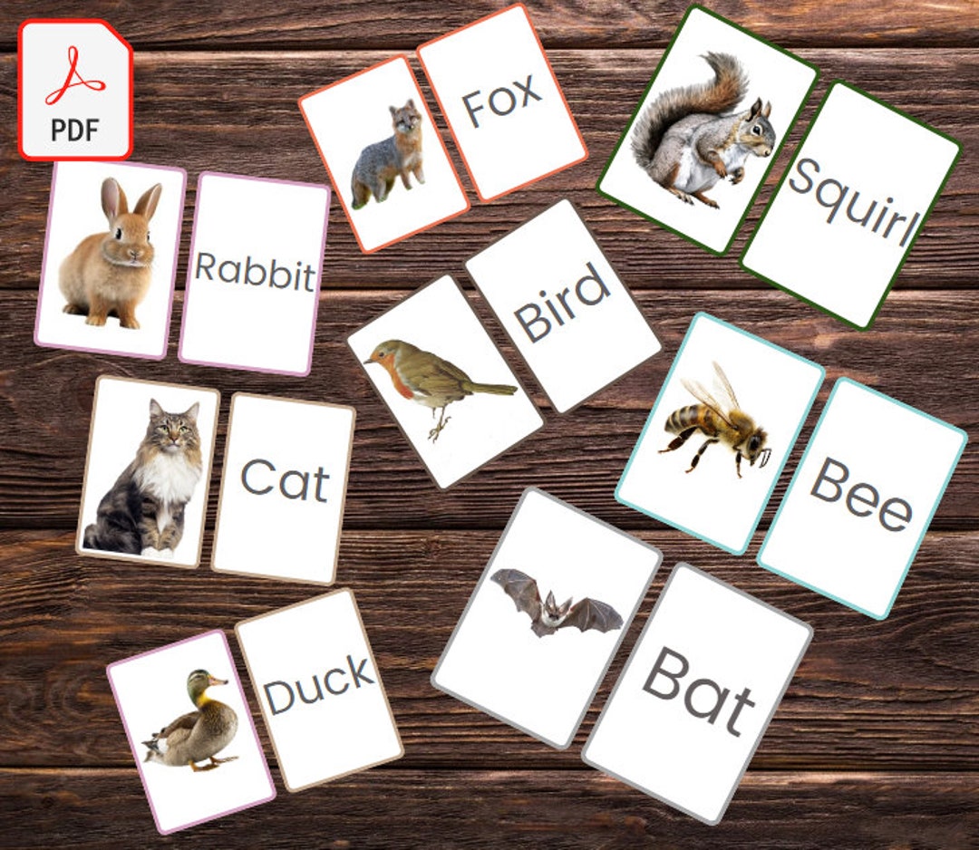 ANIMALS 20 Editable Montessori Cards Flash Cards Nomenclature ...