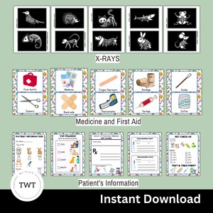 Vet Themed Pretend Play, Set up Your Own Vet Clinic, PDF Download ...