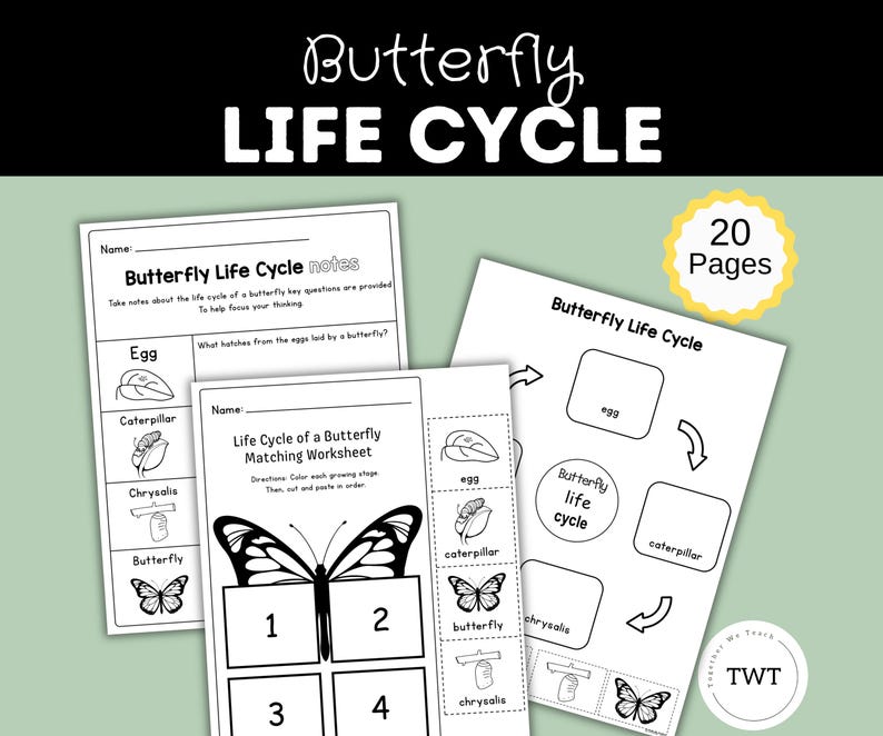 Life Cycle of a Butterfly Activity Worksheets, Research, Report Tasks ...