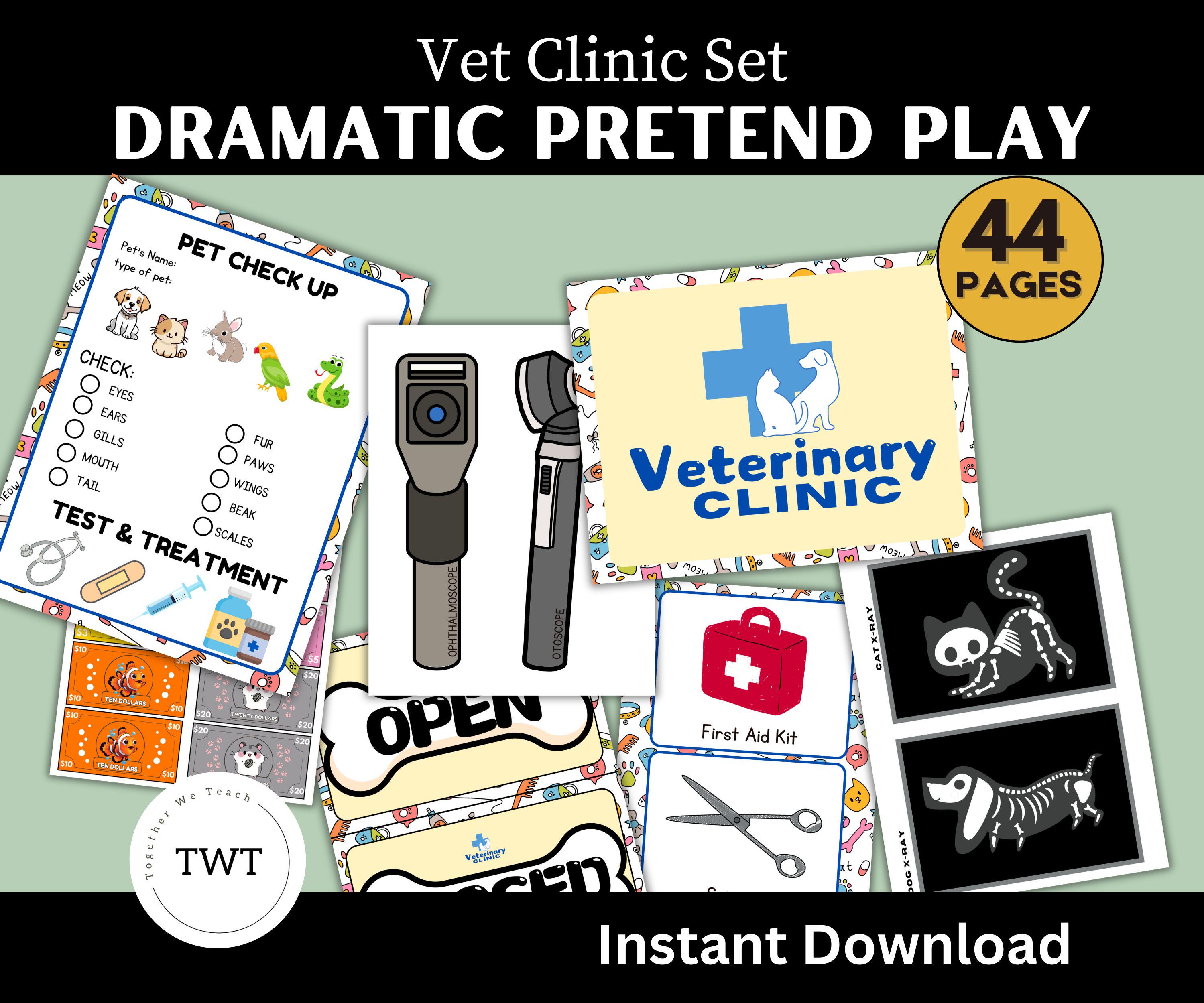 Vet Themed Pretend Play, Set up Your Own Vet Clinic, PDF Download ...