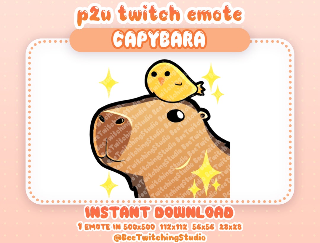 Cute Capybara Bird Emote for Twitch Discord and Youtube | P2u Animal ...
