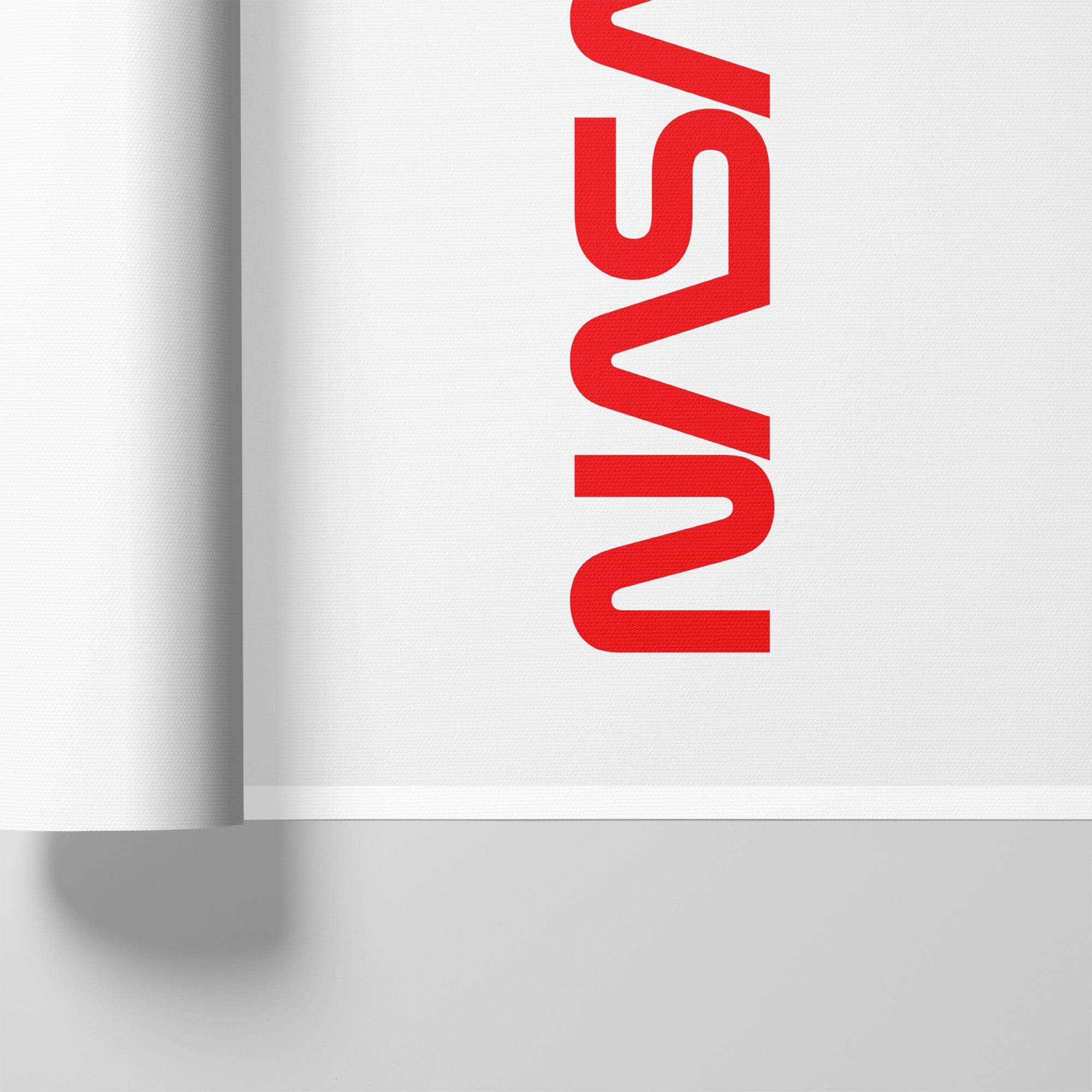 Nasa Worm Logo Poster - Etsy