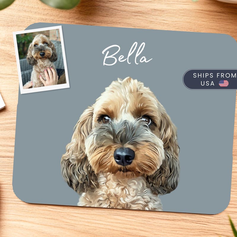 Pet Photo Gift Stationary - 60+ Gift Ideas for 2026