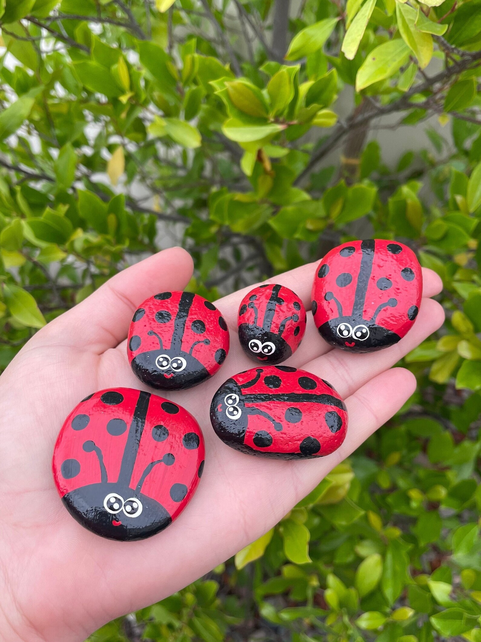Ladybug Painted Rocks - Etsy Canada