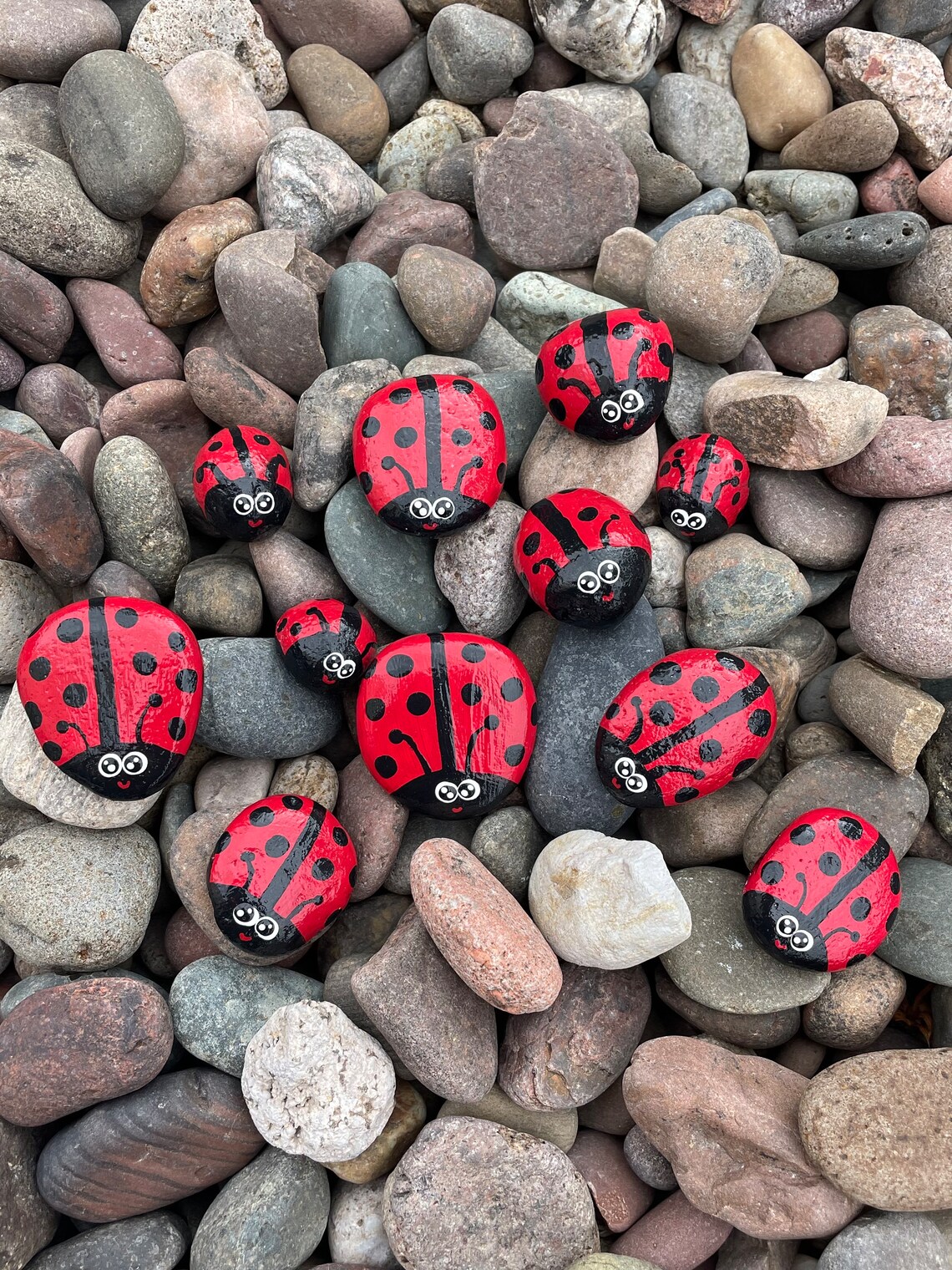 Ladybug Painted Rocks - Etsy Canada