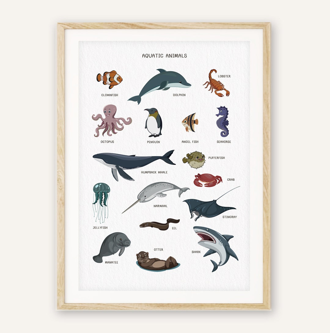 Aquatic Animals Classroom Poster, Colorful Sea Creatures (digital ...