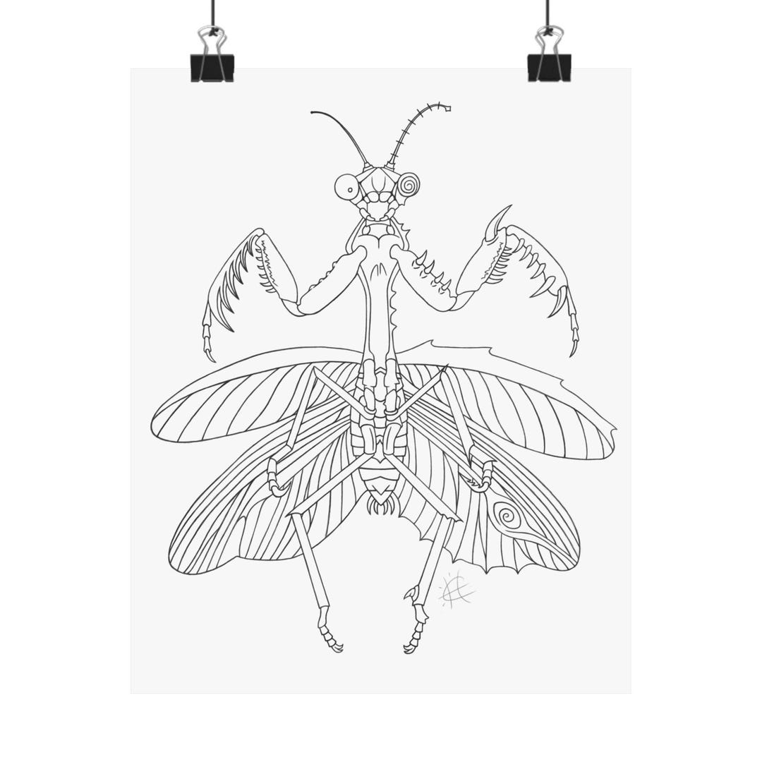 Praying Mantis Art Print - Etsy