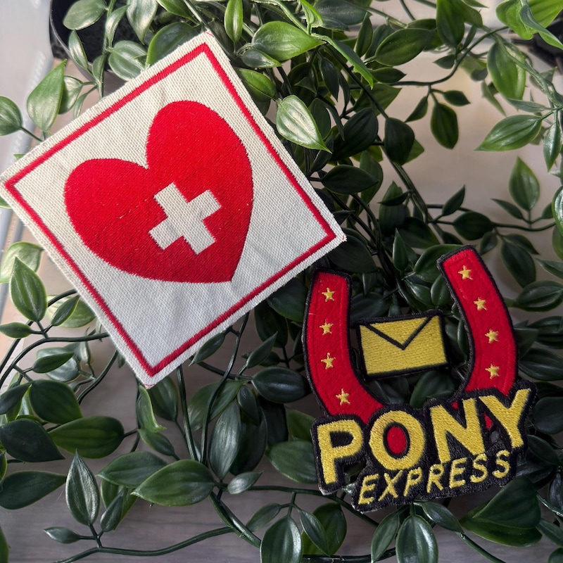 Pony Express Patch Mouthwashing - Etsy