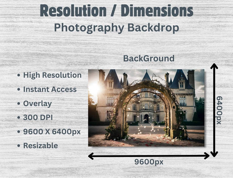 Enchanted French Castle Digital Photography Background, French Castle ...