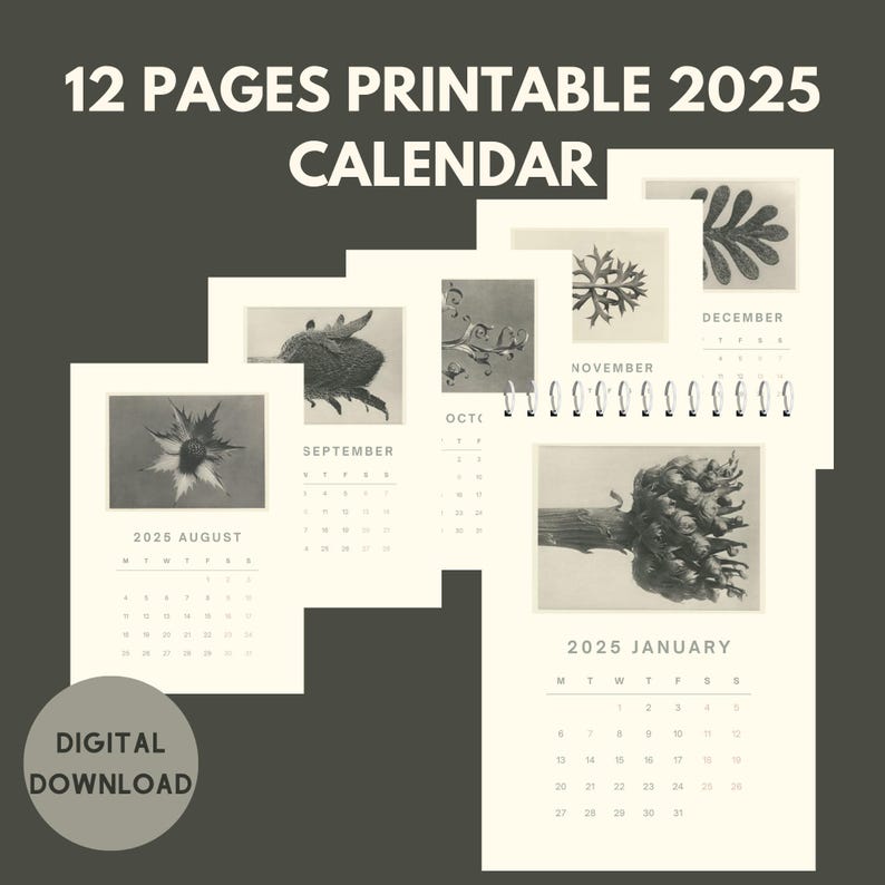 2025 Calendar, Aesthetic Calendar, Vintage Botanical 2025 Printable ...