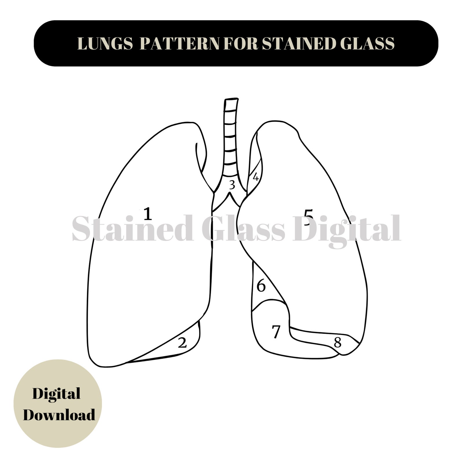 Lungs Pattern for Stained Glass, Stained Glass Pattern, Lungs Pattern ...
