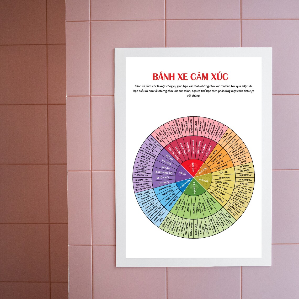 Vietnamese Emotions and Feelings Wheel Poster, Cải Thiện Trí Tuệ Cảm ...