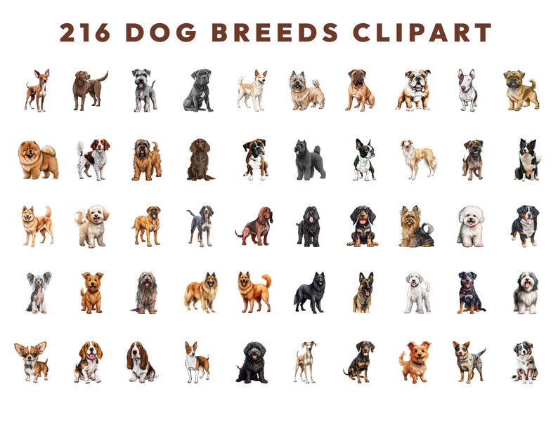 216 Watercolor Dog Clipart Bundle, Dogs PNG, Dog Breeds PNG ...