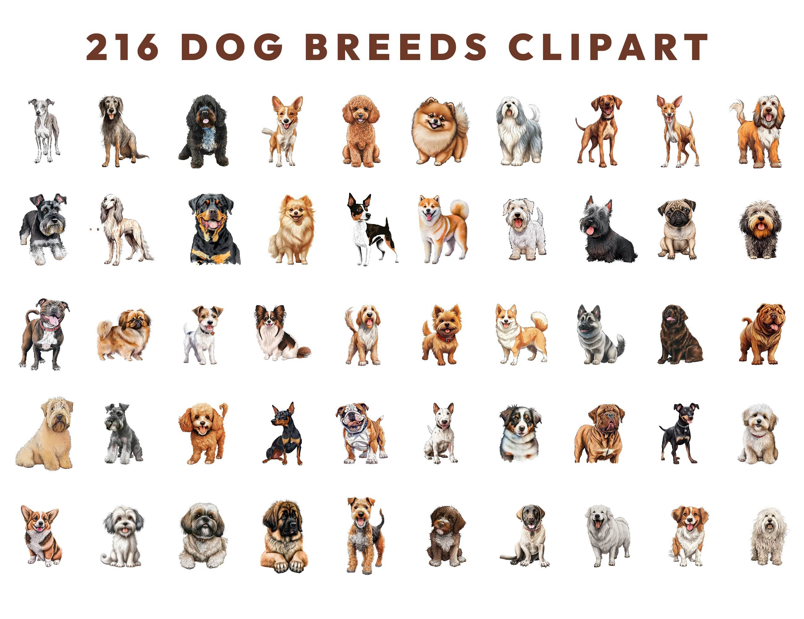 216 Watercolor Dog Clipart Bundle, Dogs PNG, Dog Breeds PNG ...