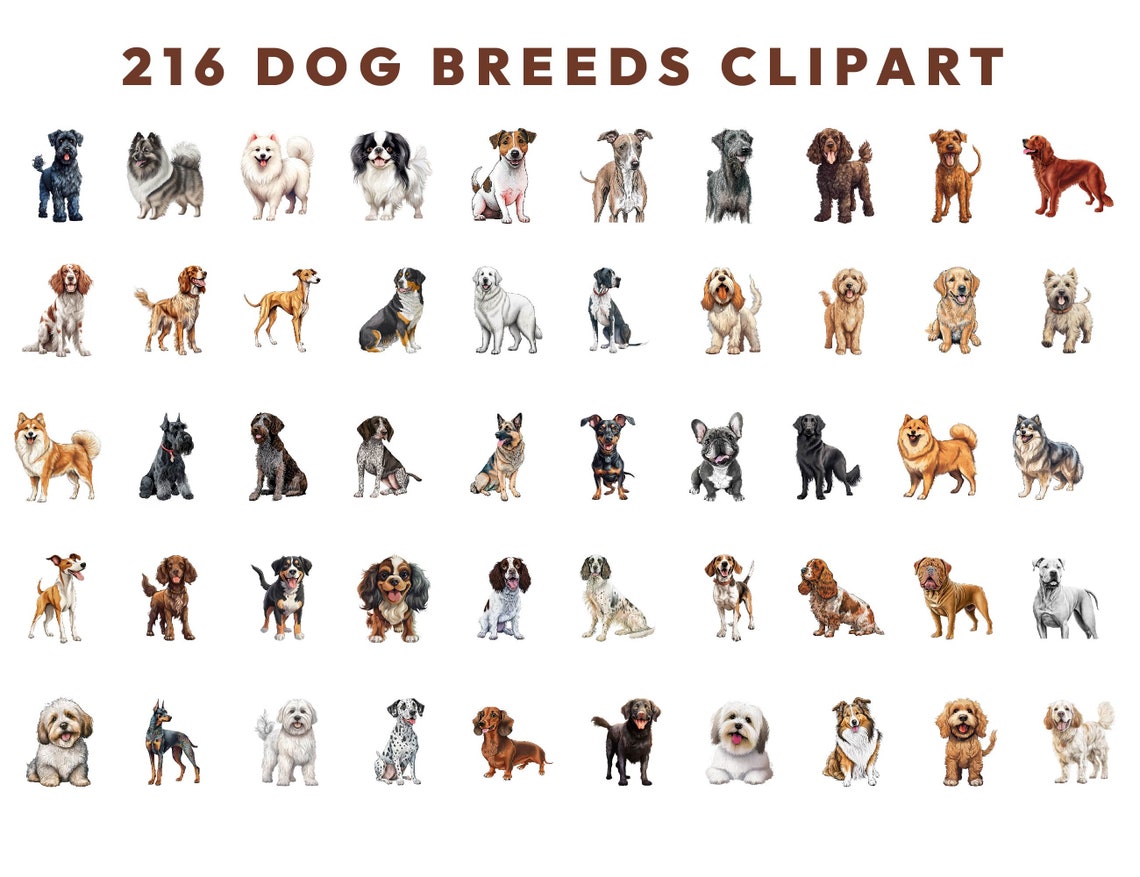 216 Watercolor Dog Clipart Bundle, Dogs PNG, Dog Breeds PNG ...