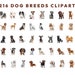 216 Watercolor Dog Clipart Bundle, Dogs PNG, Dog Breeds PNG ...