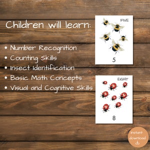 Insect Number Flash Cards 1-10. Bugs, Counting Flashcards ...