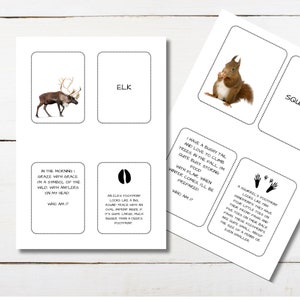 Animal Discovery Flash Cards, Montessori Cards, Printable Cards ...