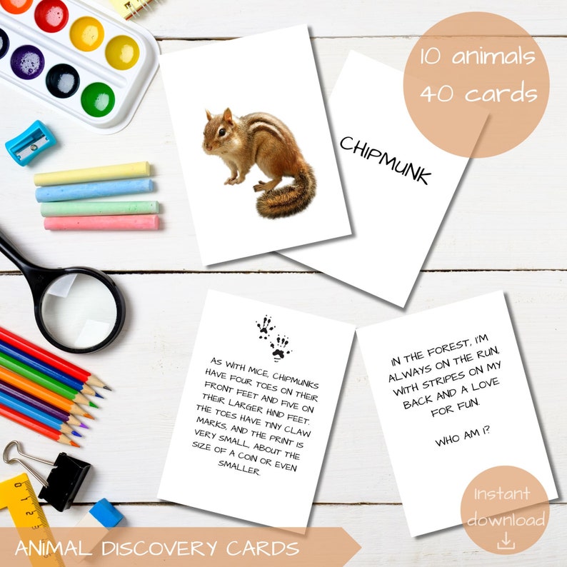 Animal Discovery Flash Cards, Montessori Cards, Printable Cards ...