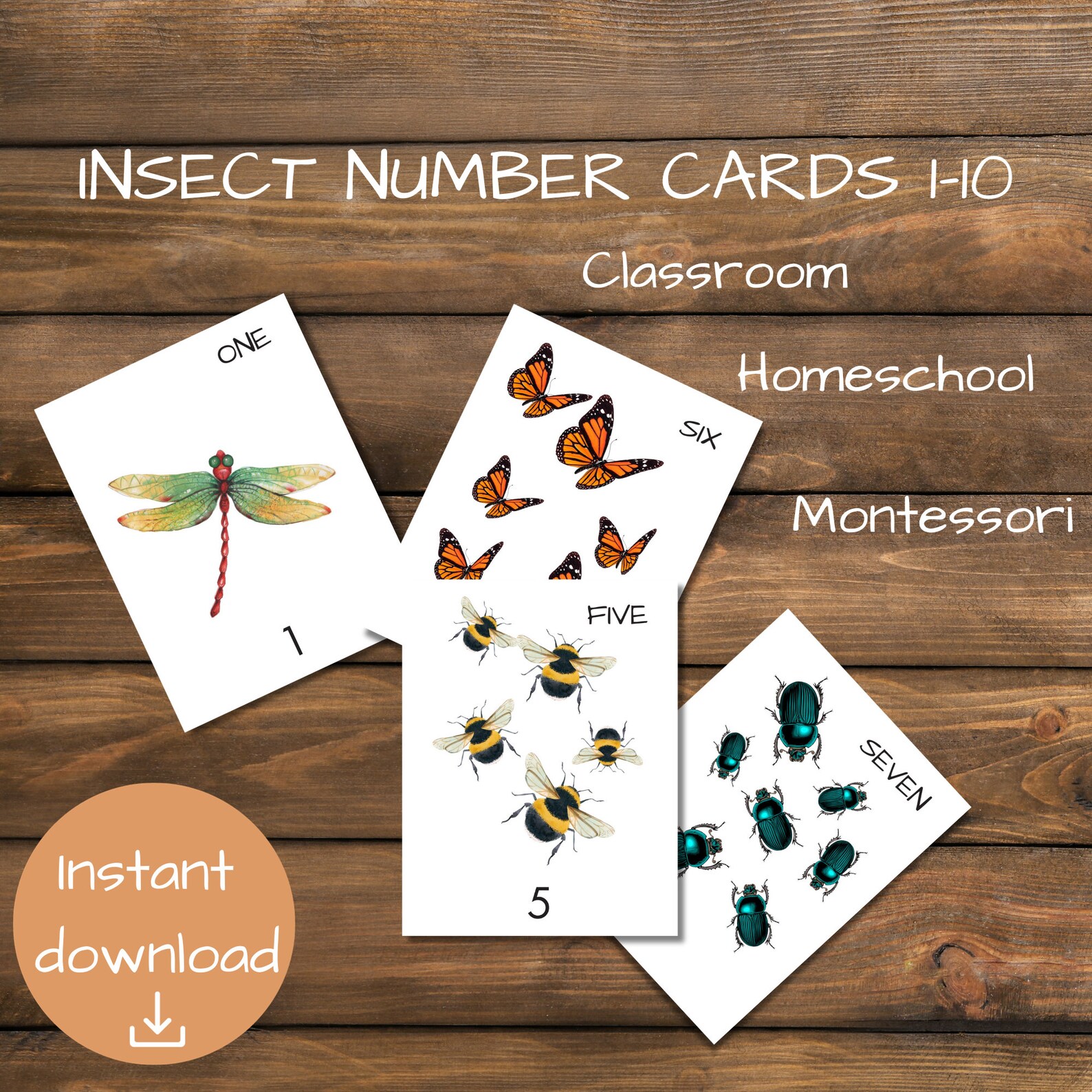Insect Number Flash Cards 1-10. Bugs Counting Flashcards - Etsy