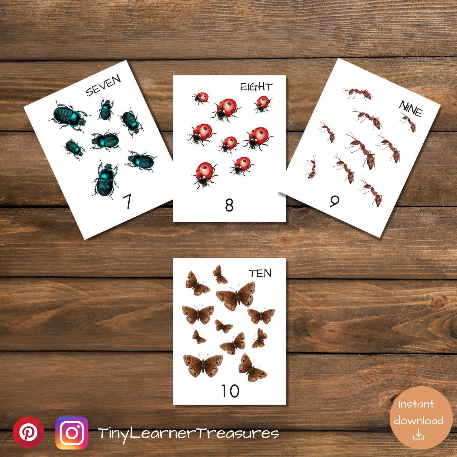 Insect Number Flash Cards 1-10. Bugs, Counting Flashcards ...