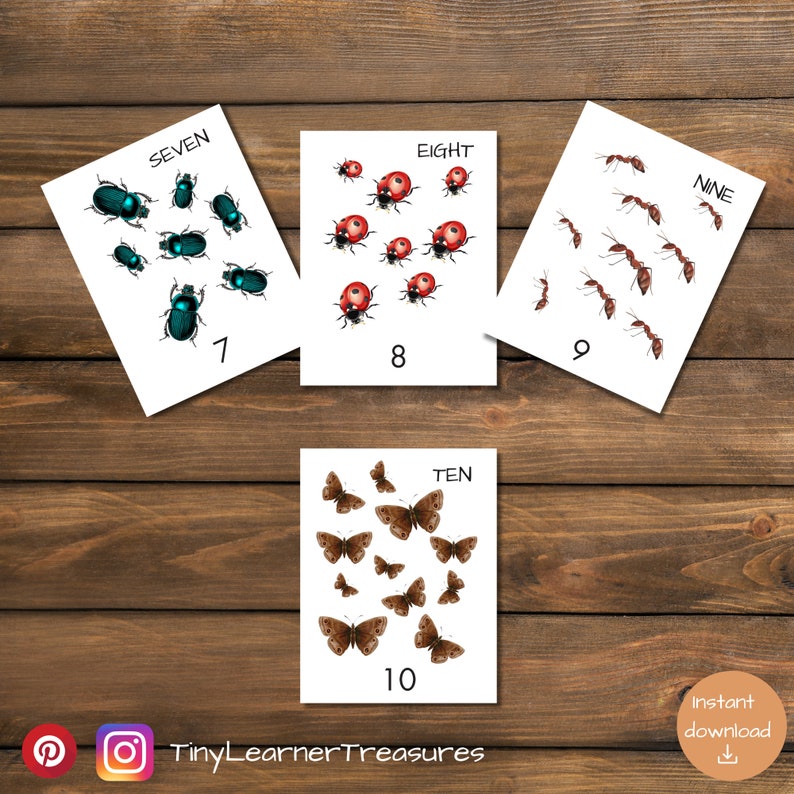 Insect Number Flash Cards 1-10. Bugs, Counting Flashcards ...