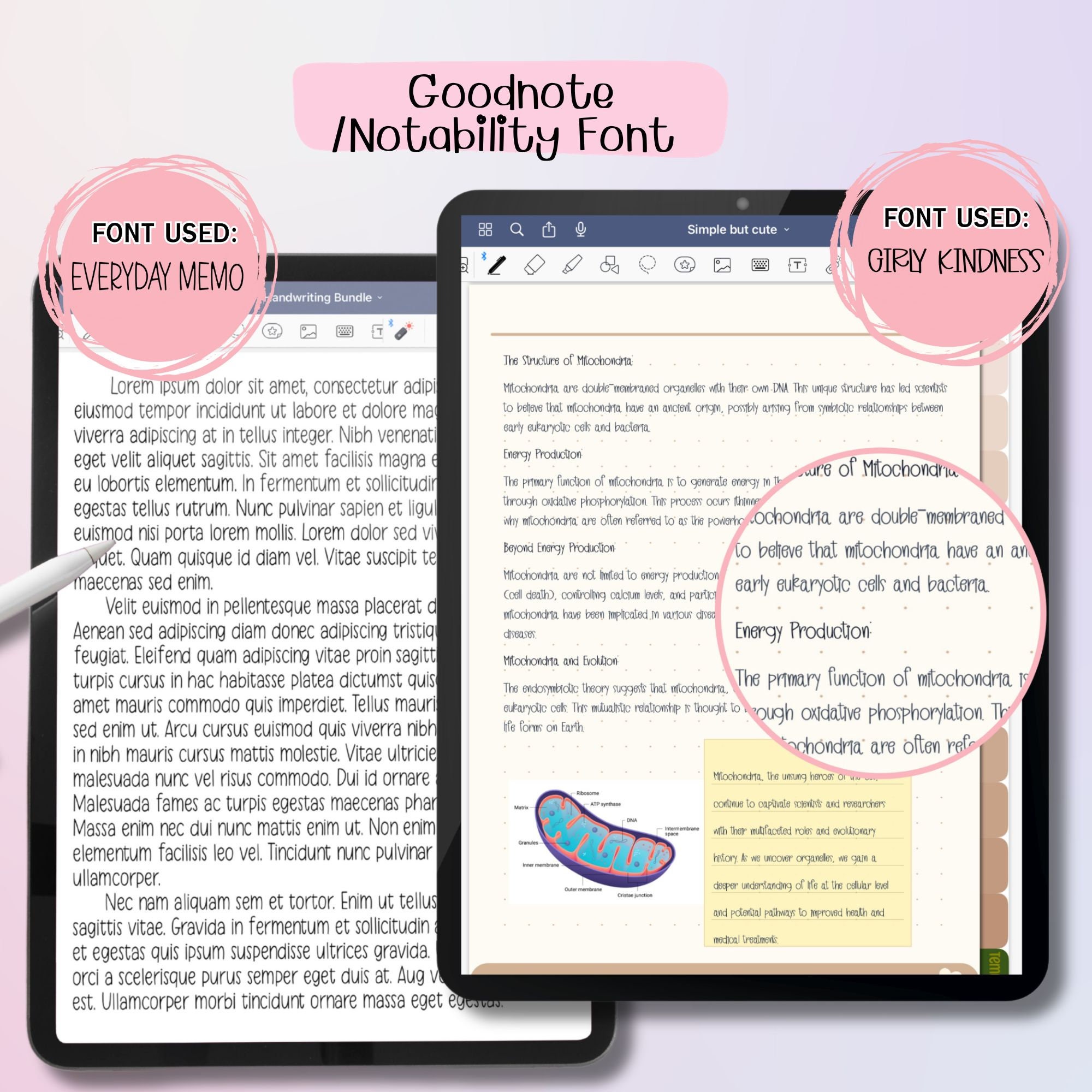 Neat Handwriting Font Cute Font Bundle digital Panner Font - Etsy