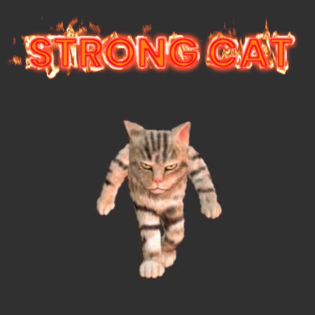 Strong Cat Meme 3d Print - Etsy