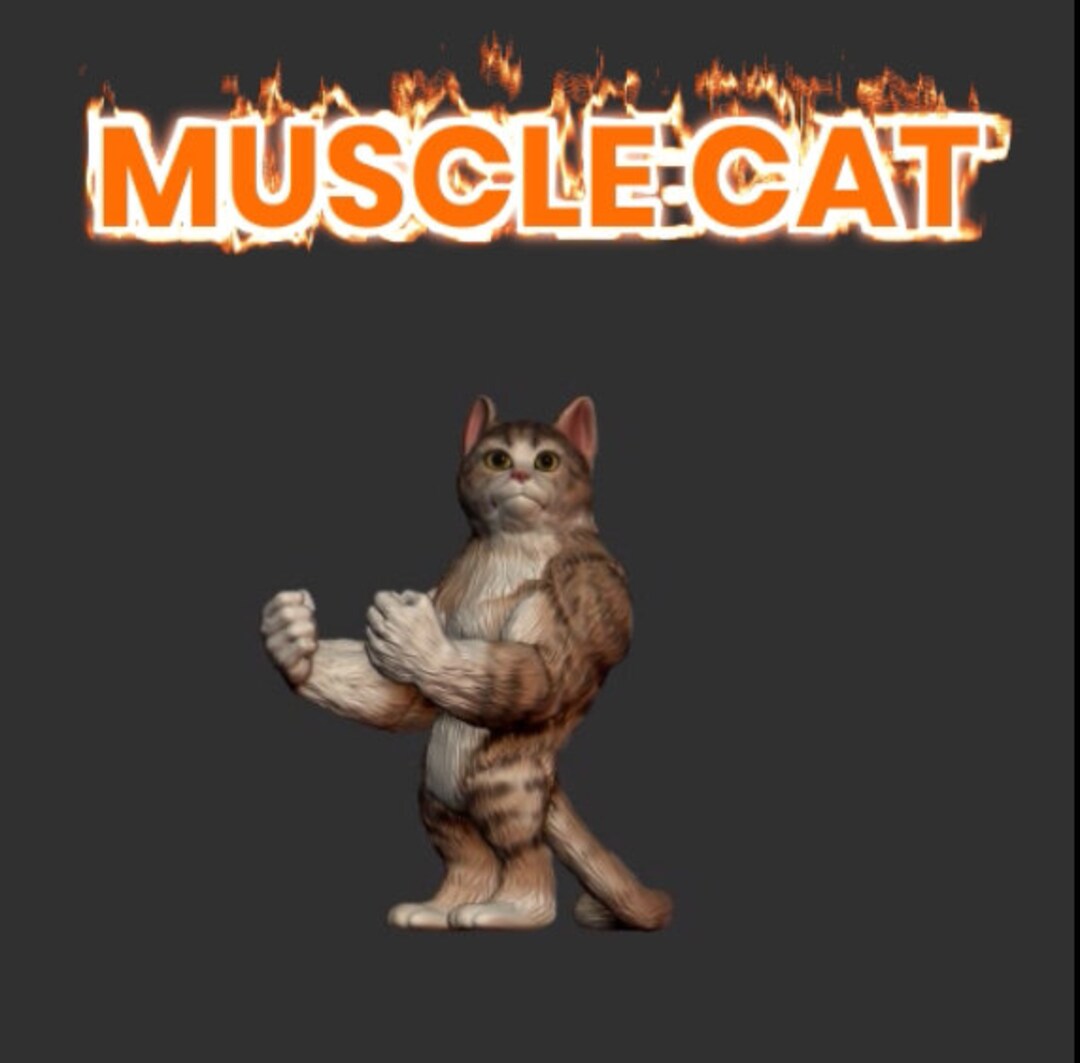 Muscle Cat Meme 3d Print - Etsy UK