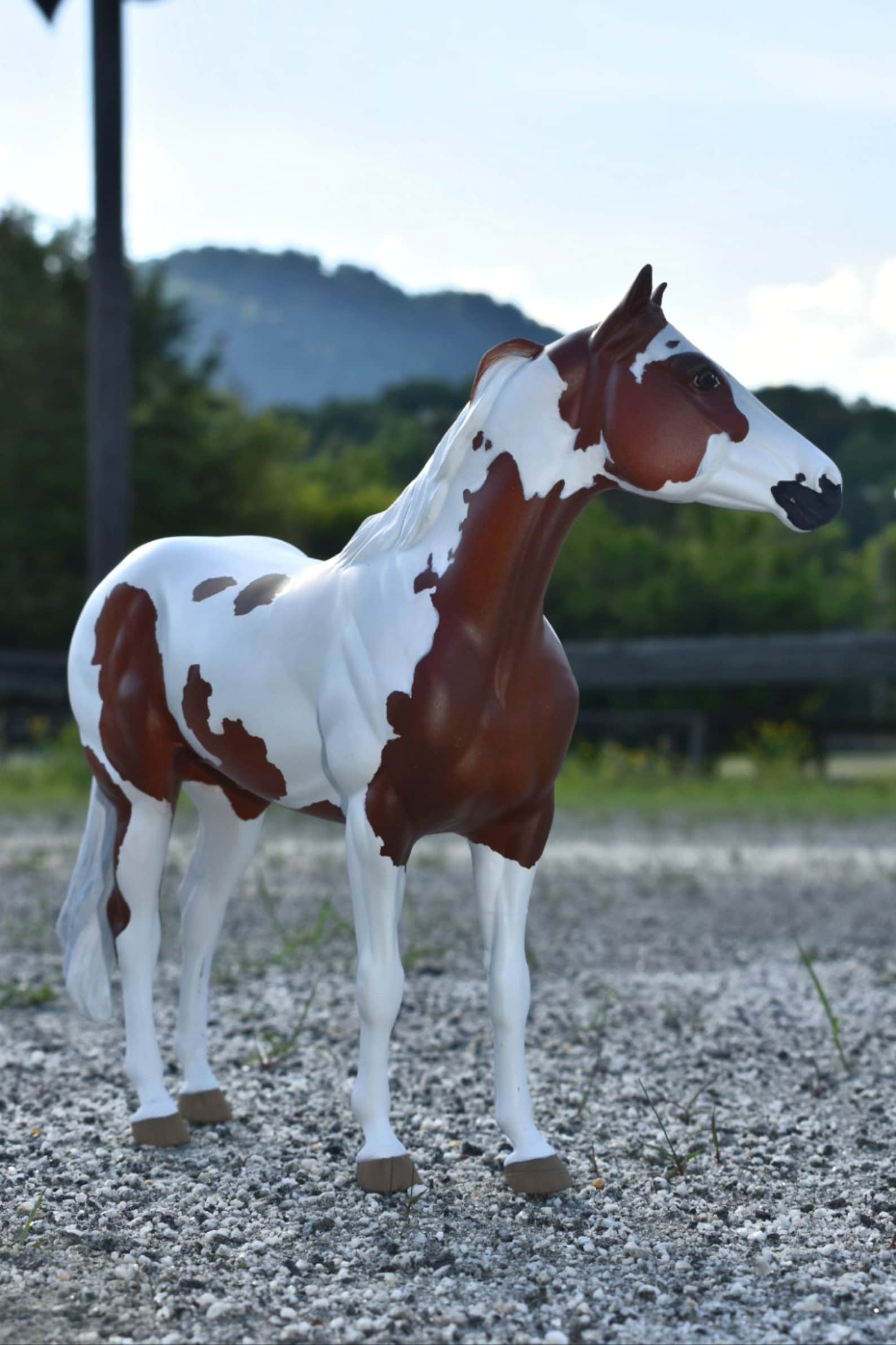Custom Model of YOUR Horse on 'ideal QH' Standing Model |-| OOAK Breyer ...