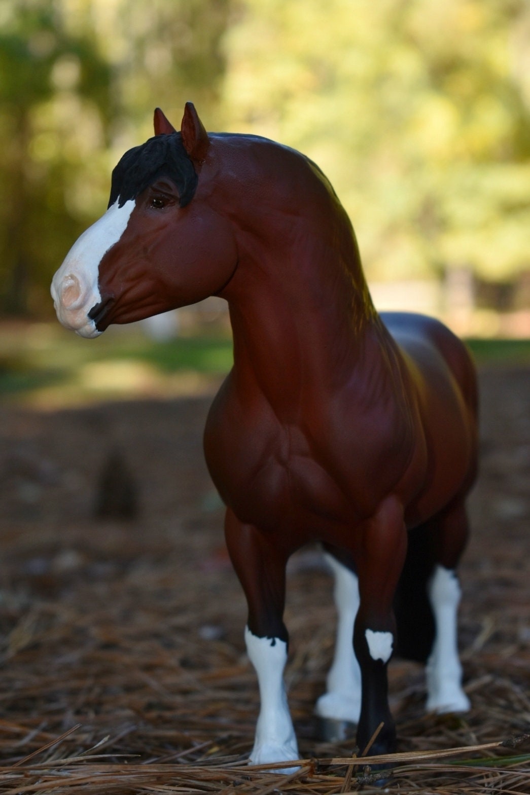 Your Draft Horse as Their OWN Model! |-| Custom Models to Match YOUR ...