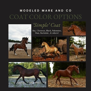 Custom Model Horse CLASSIC Scale |-| Custom Breyer Models to Match YOUR ...