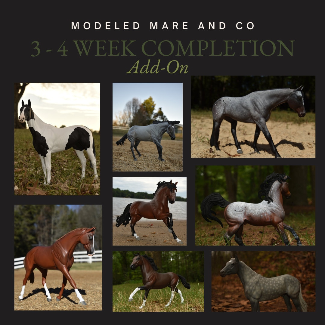 Custom Model Horse Add on : 3 to 4 Week Completion Time Expedited ...