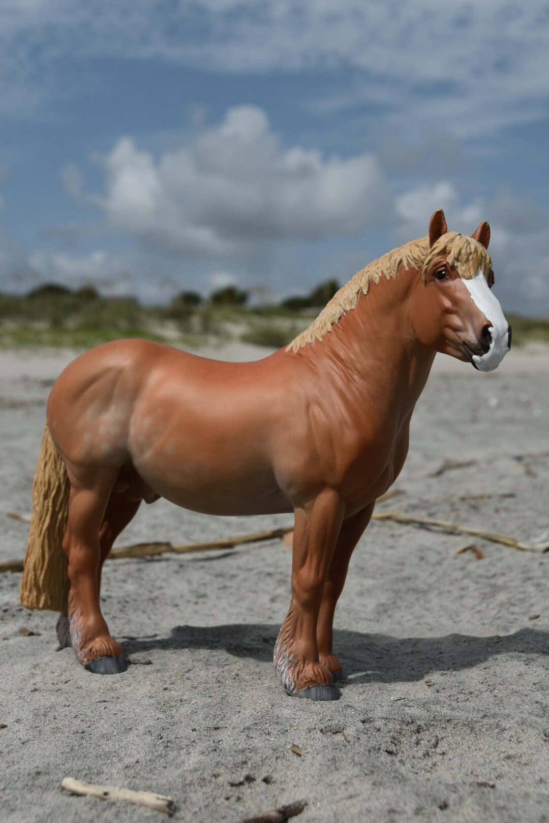 Your Draft Horse as Their OWN Model Custom Models to Match YOUR Horse ...