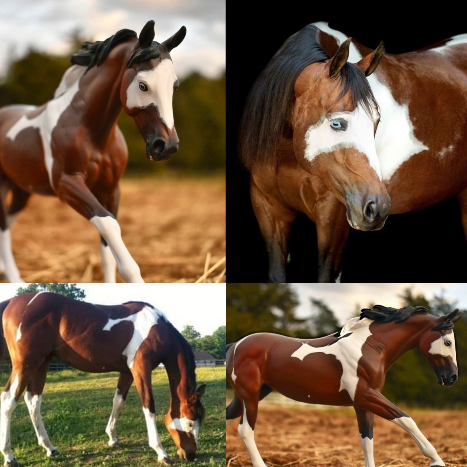 Custom 'peptoboonsmal' Cantering / Loping Custom Breyer Model to Match ...