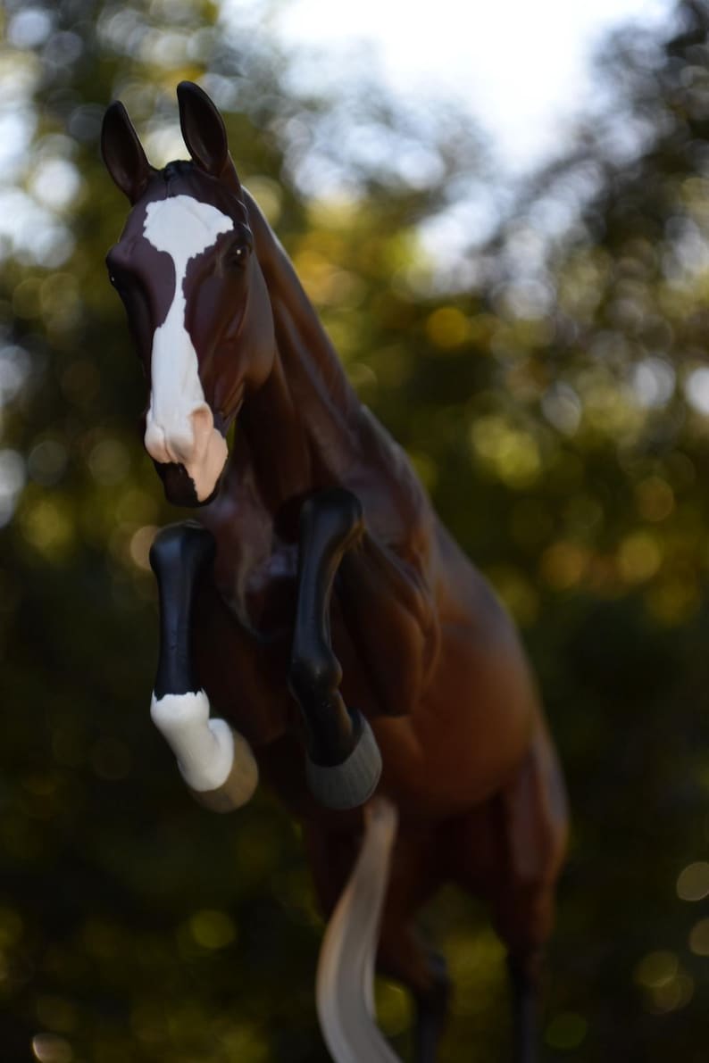 YOUR Horse on the Jumping Breyer Traditional 1:9 Model 'voyuer ...