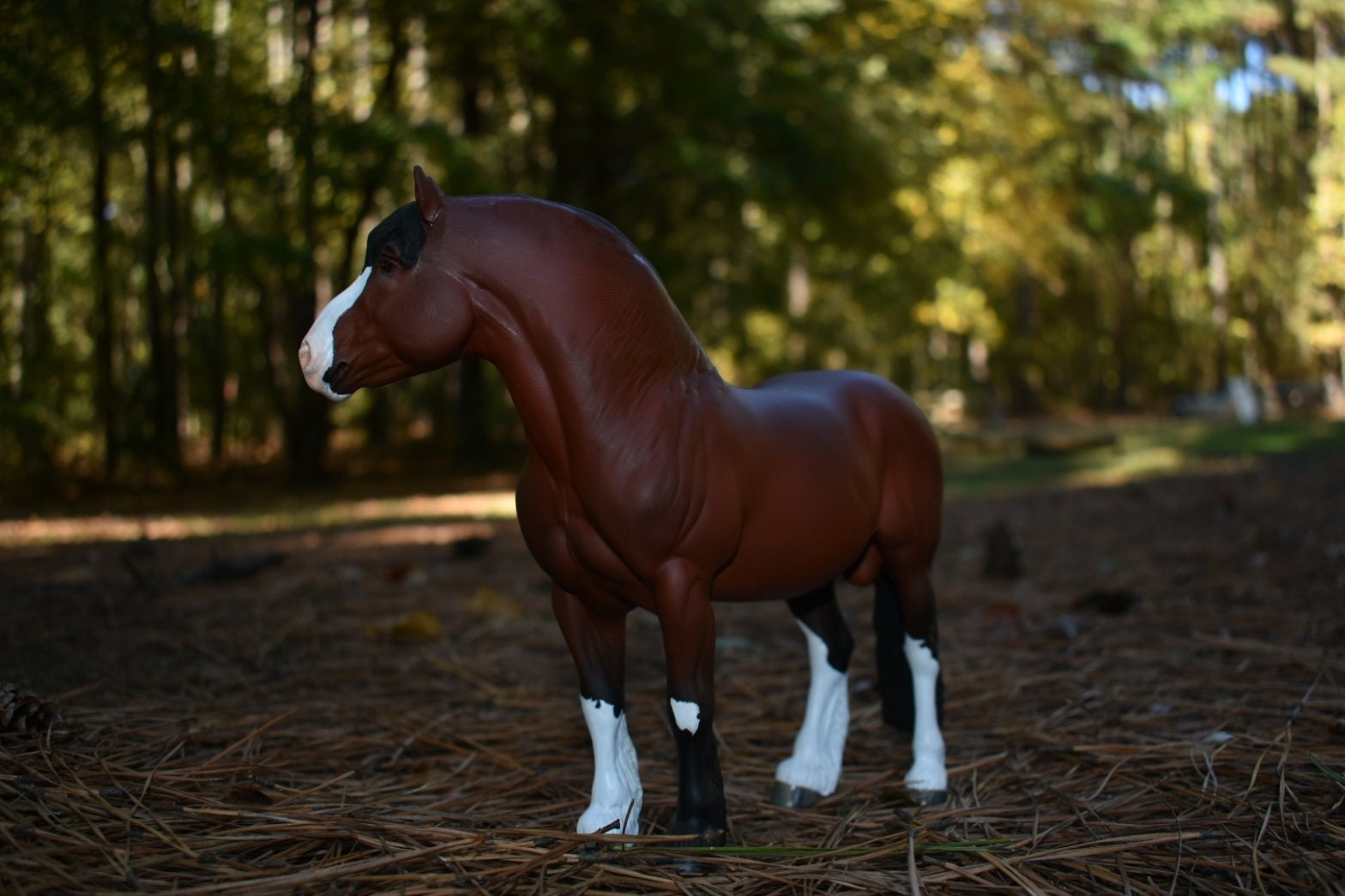 Your Draft Horse as Their OWN Model Custom Models to Match YOUR Horse ...