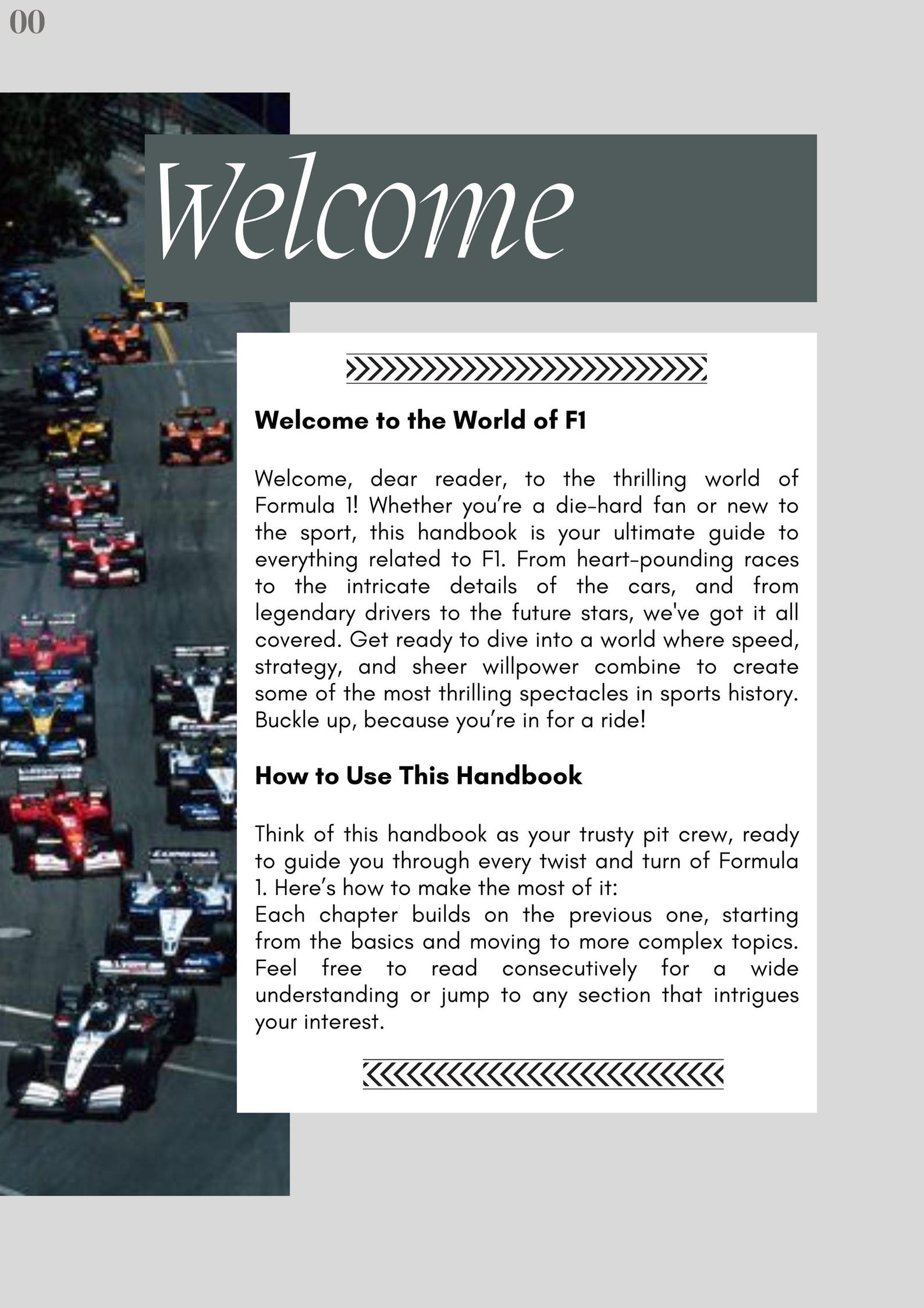 Formula 1 Fan Handbook: F1 Tips & Trivia (digital E-book) - Etsy