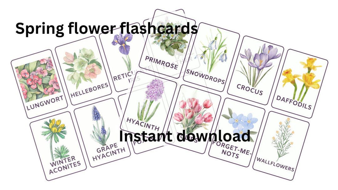 British Spring Flowers | Flowers Flashcards | Flowers Facts Cards | 16 ...