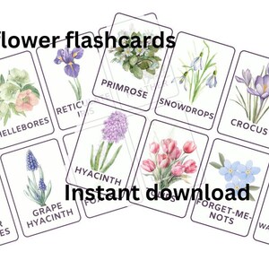 British Spring Flowers | Flowers Flashcards | Flowers Facts Cards | 16 ...