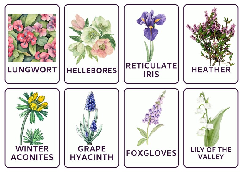 British Spring Flowers | Flowers Flashcards | Flowers Facts Cards | 16 ...
