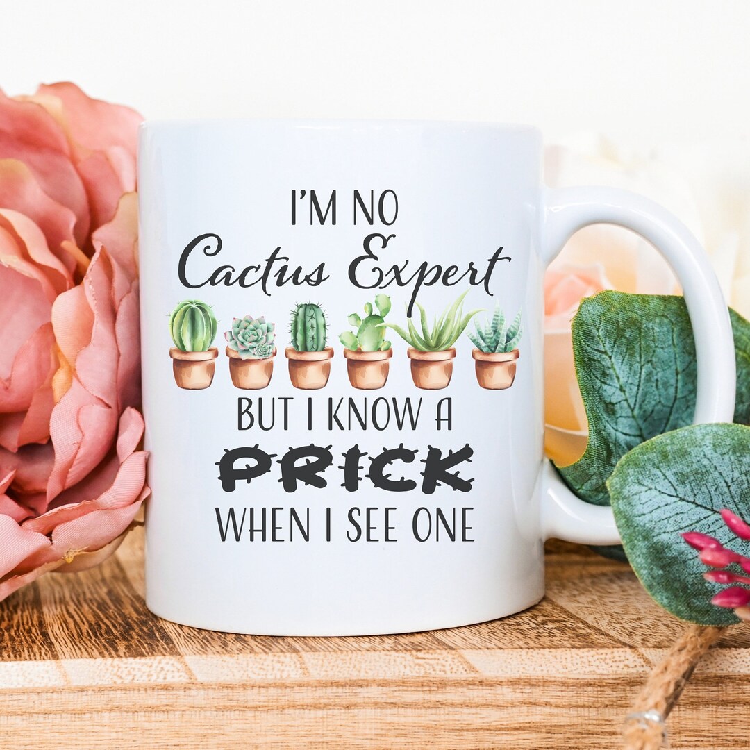 Funny Cactus Mug, Best Friend Gifts, Hilarious Gift Ideas, Cactus Pun ...