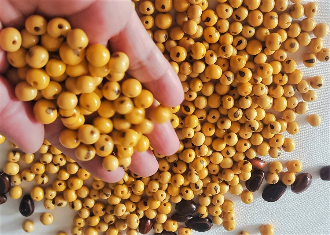 Yellow Acai Seed - Etsy