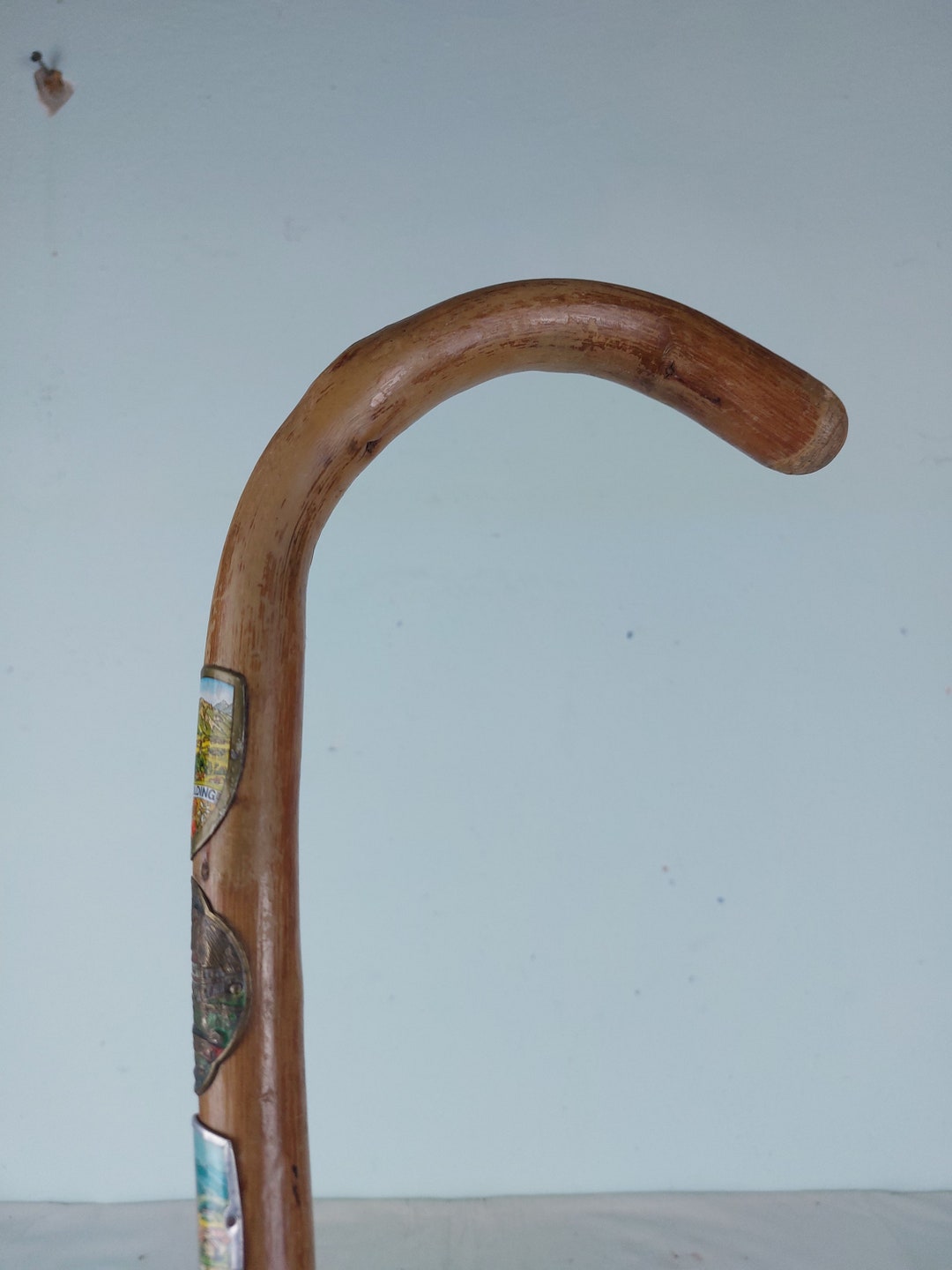 7 Emblem Cane, Vintage Walking Sticks, Retro Cane, Vintage Cane ...