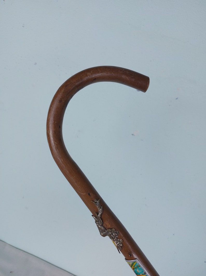 5 Emblem Cane, Germany Stick, Vintage Walking Sticks, Retro Cane ...