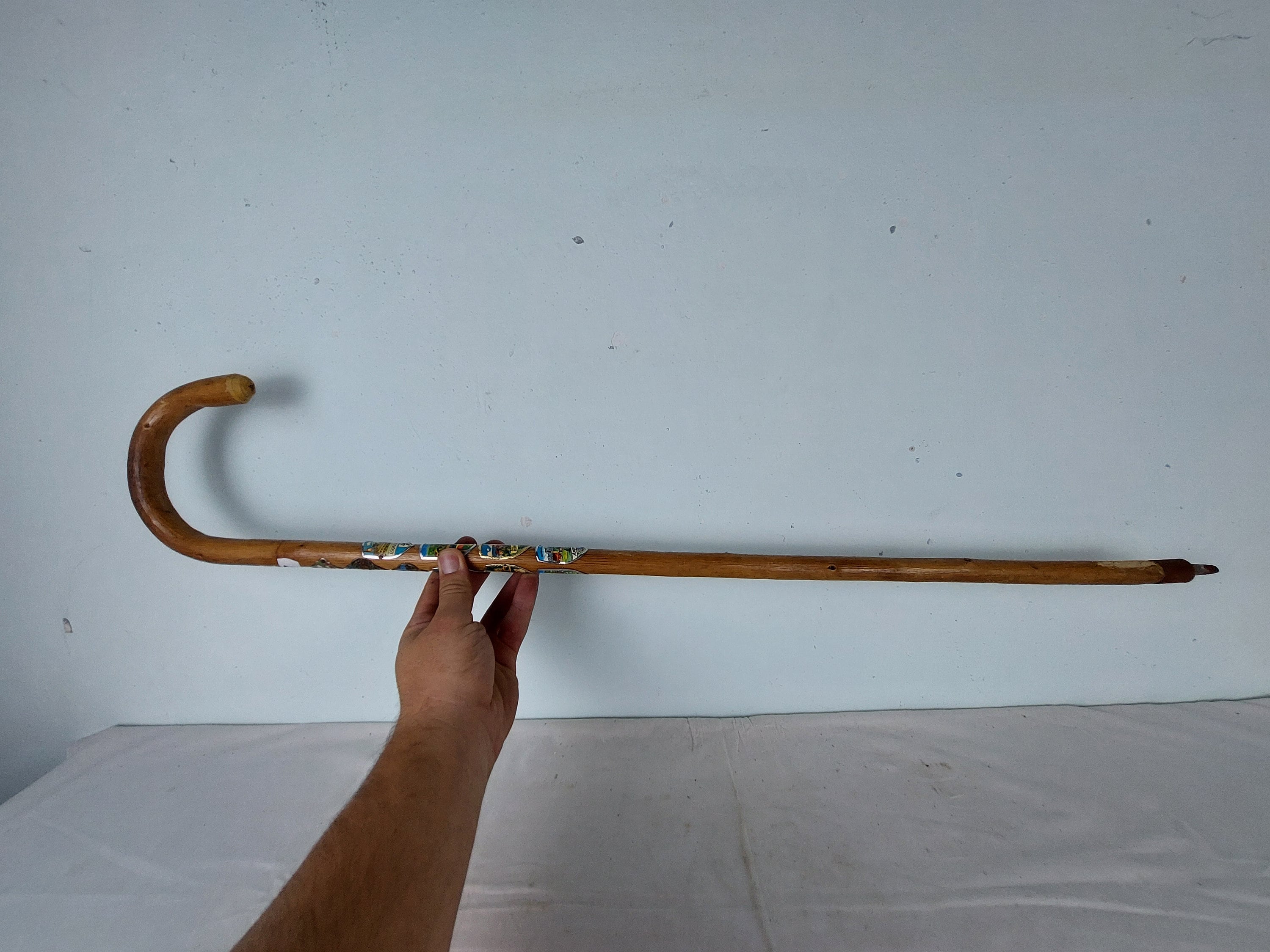 10 Emblem Cane, Vintage Walking Sticks, Retro Cane, Vintage Cane ...