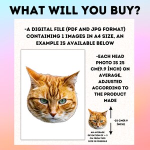 Pet Face on a Stick Prop,cat Picture Face Stick,dog Big Head on a Stick ...